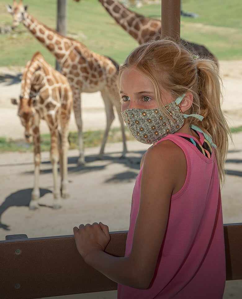 Giraffe Cam | San Diego Zoo Safari Park